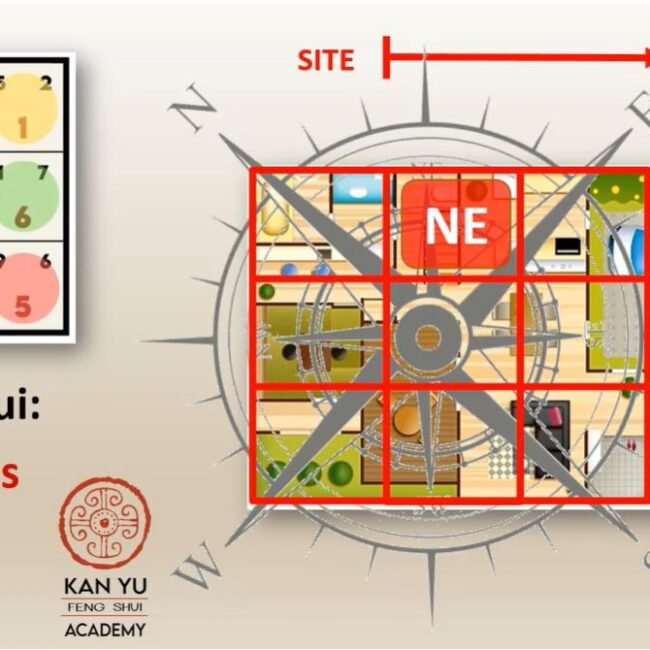Consigli Feng Shui 2023, anno della Lepre d'Acqua yin (VIDEO) - Kan Yu ...